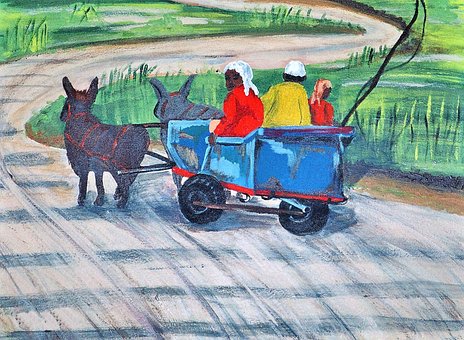 20+ Free Donkey Cart & Donkey Images - Pixabay