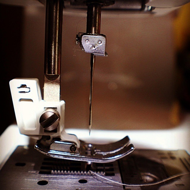 Coser De Aguja - Foto gratis en Pixabay - Pixabay