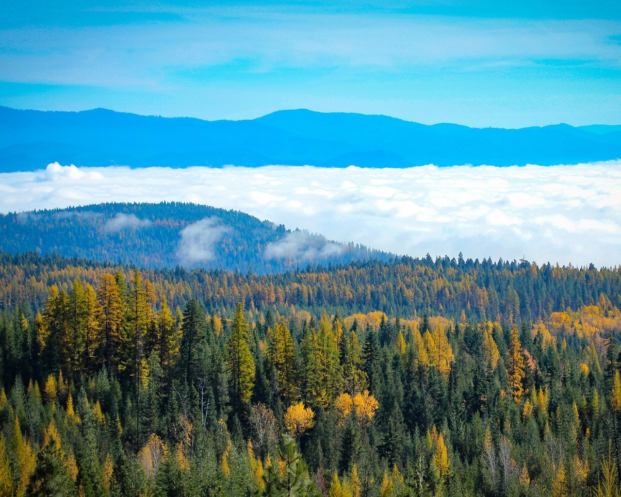Northeast Washington Fall - Free photo on Pixabay - Pixabay