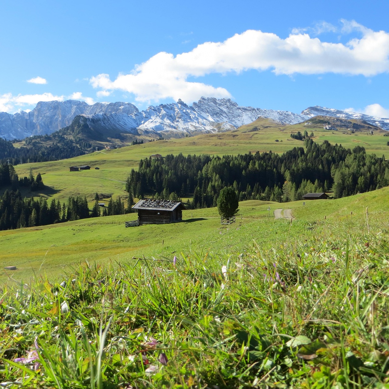 Alm Seiser Tirol Del Sur - Foto gratis en Pixabay - Pixabay