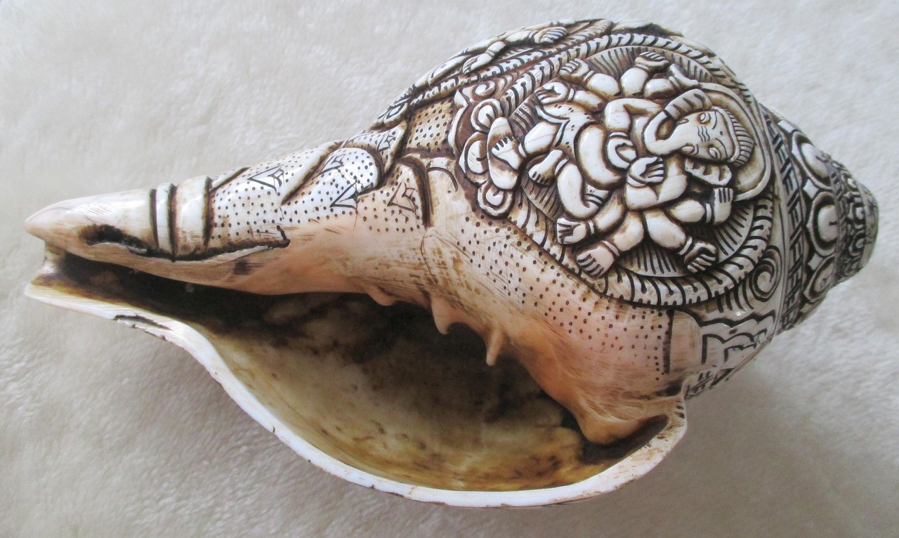 Caracol Cáscara Mar Concha De - Foto gratis en Pixabay