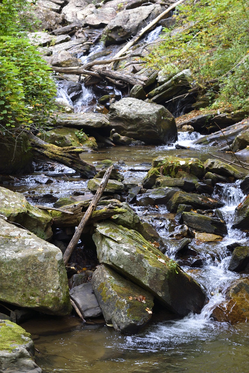 Anna Ruby Falls Creek Helen - Free photo on Pixabay - Pixabay