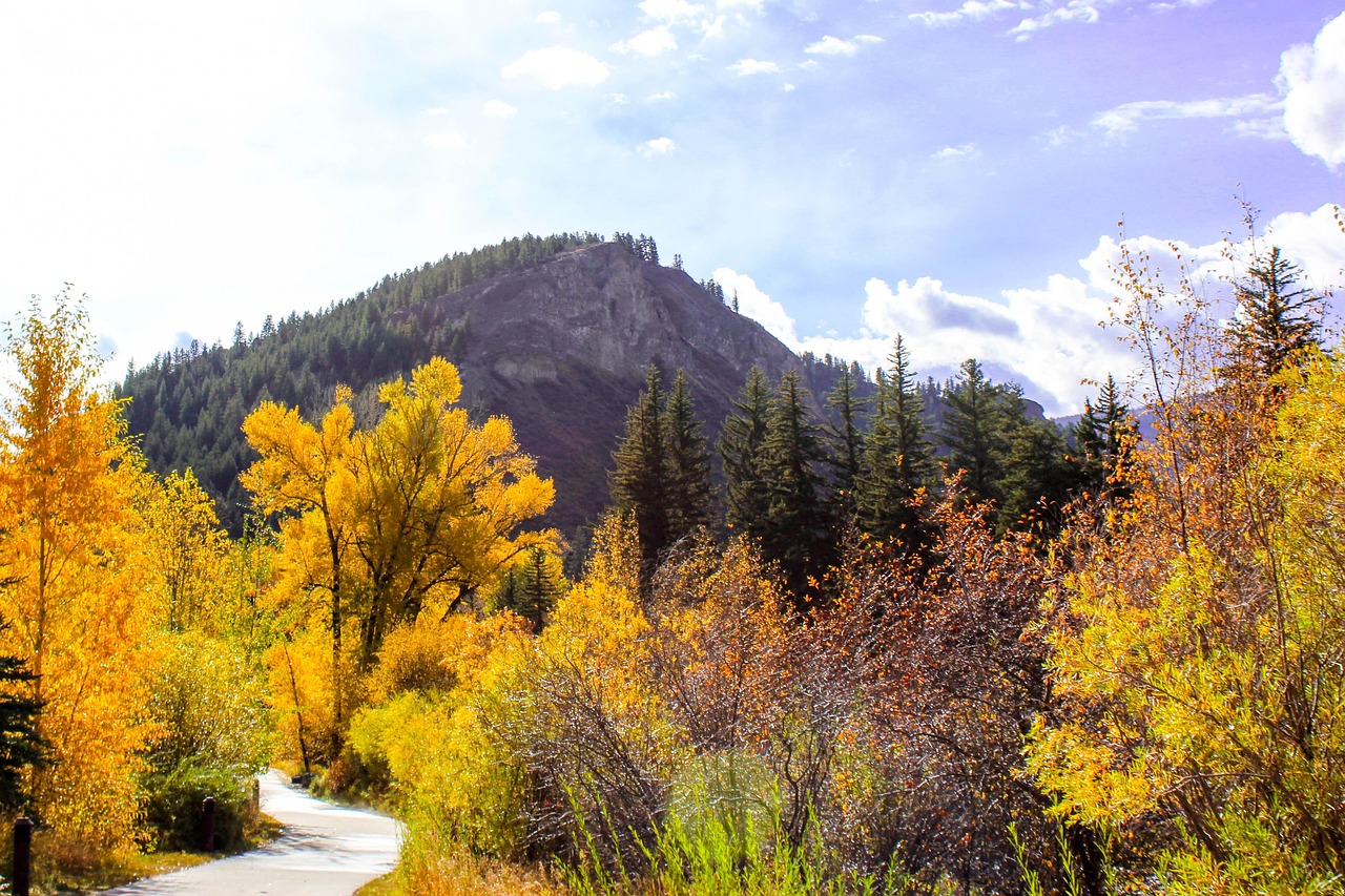 Mountain Trail Autumn - Free photo on Pixabay