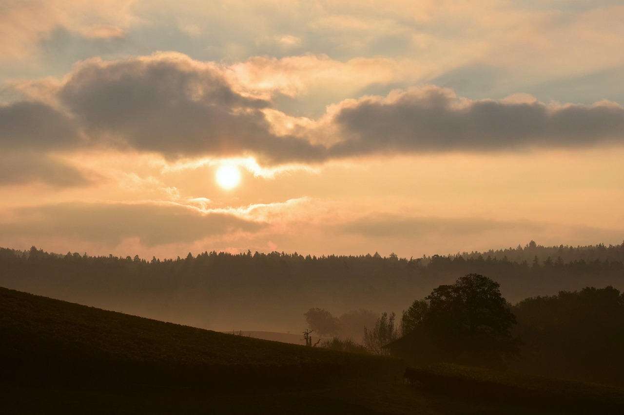 Sunrise Morning Mood Fog - Free photo on Pixabay - Pixabay