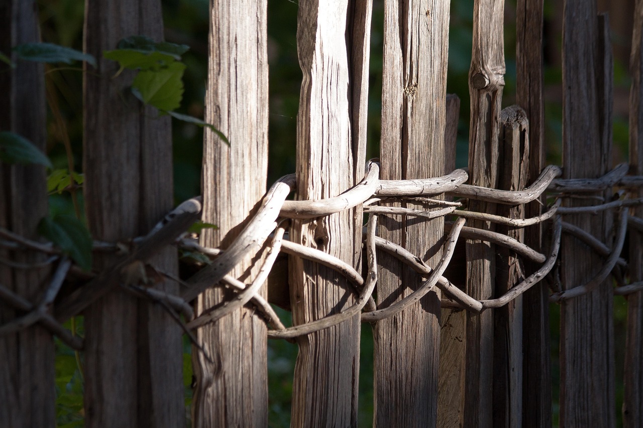 10,000+ Free Fence & Nature Photos - Pixabay