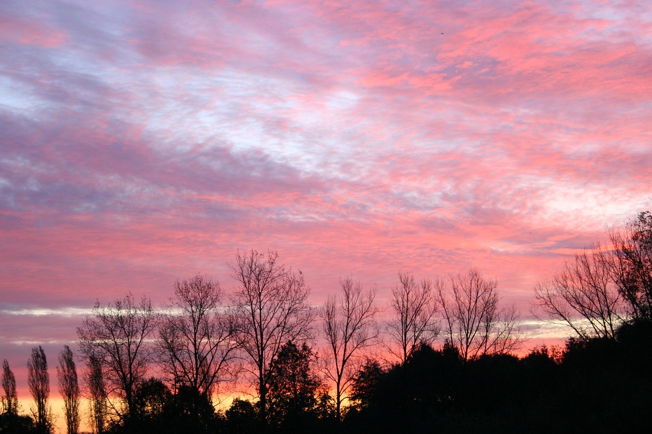 Landscape Morning Sunrise - Free photo on Pixabay - Pixabay