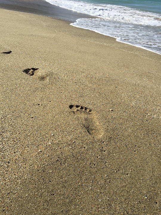 Sea Traces Prints - Free photo on Pixabay - Pixabay