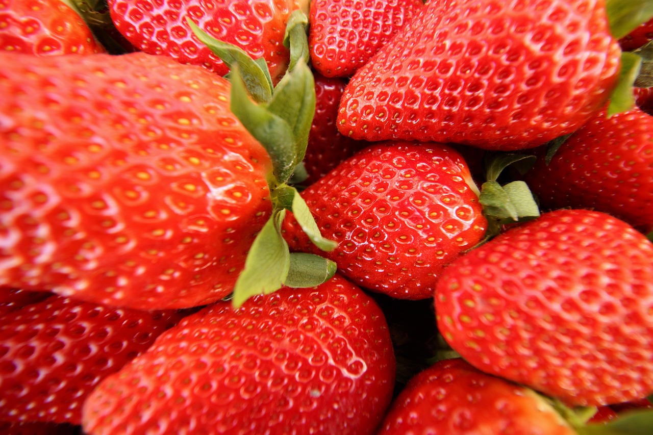 Fresa Fruta Rojo - Foto gratis en Pixabay - Pixabay