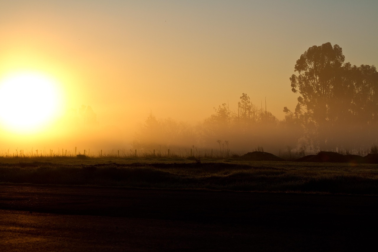 Nascer Do Sol Manhã - Foto gratuita no Pixabay - Pixabay