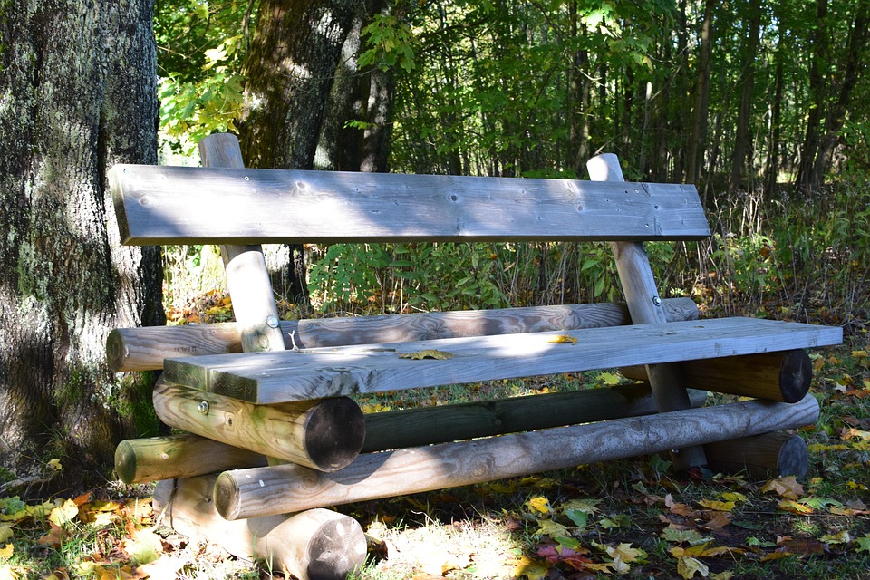 Bank Wald Rast - Kostenloses Foto auf Pixabay