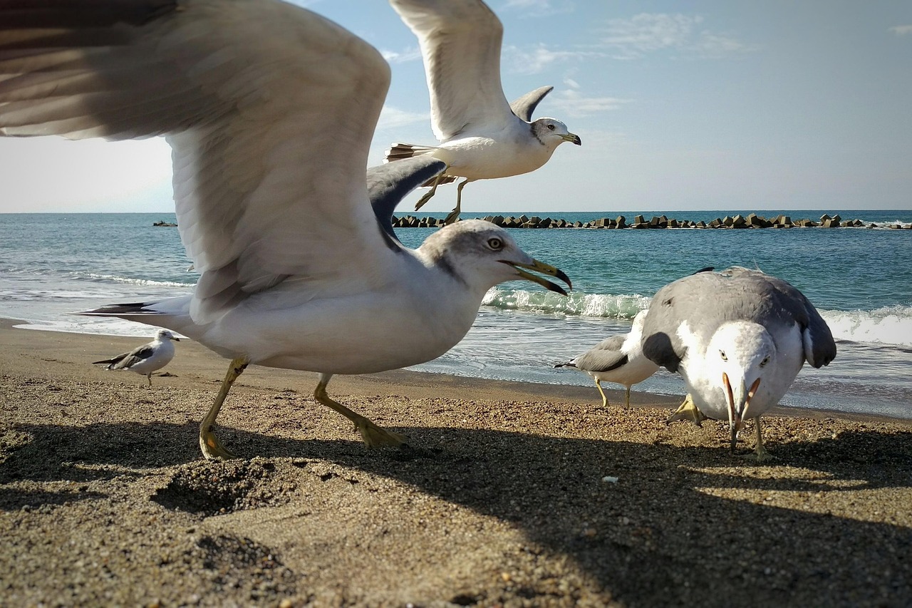 Mar Playa Cielo - Foto gratis en Pixabay - Pixabay