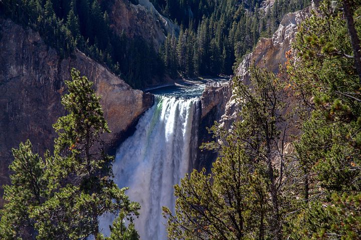 800+ Free Yellowstone National Park & Yellowstone Images - Pixabay