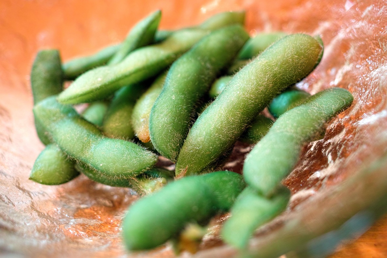 50,000+ Free Soybean Plant & Soybean Images - Pixabay