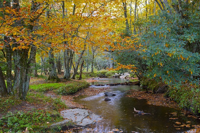Paysage Paisible Nature - Photo gratuite sur Pixabay - Pixabay