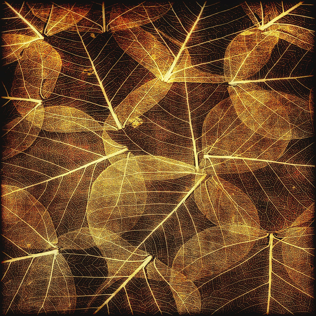 50,000+ Stunning Fall Picture Ideas for Free [HD] - Pixabay