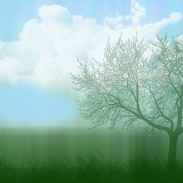 Background Air Clouds - Free image on Pixabay