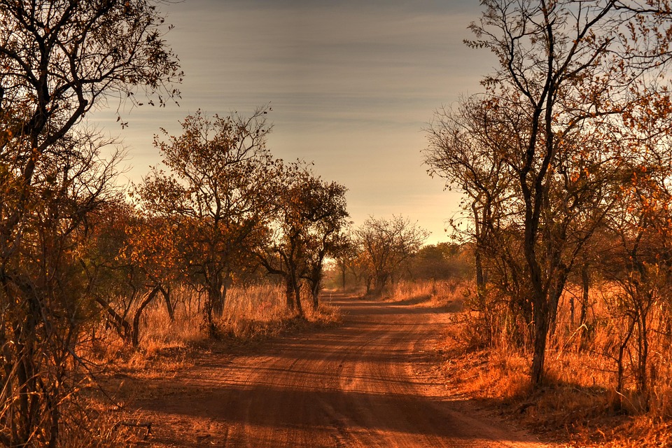 Paysage Afrique Faune Route De - Photo gratuite sur Pixabay