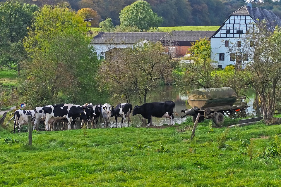 Paysage Cour De Ferme La Nature - Photo gratuite sur Pixabay - Pixabay