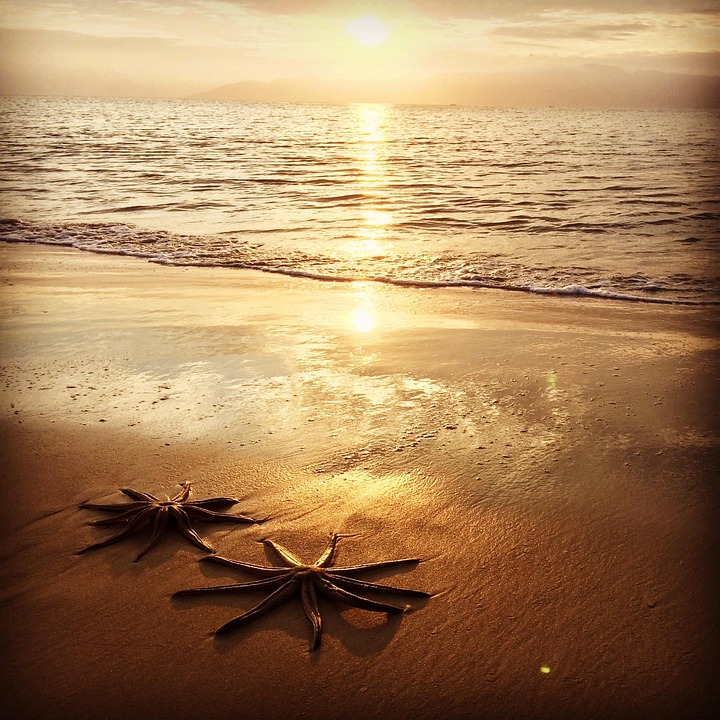 Star Mer Soleil Étoile De - Photo gratuite sur Pixabay - Pixabay