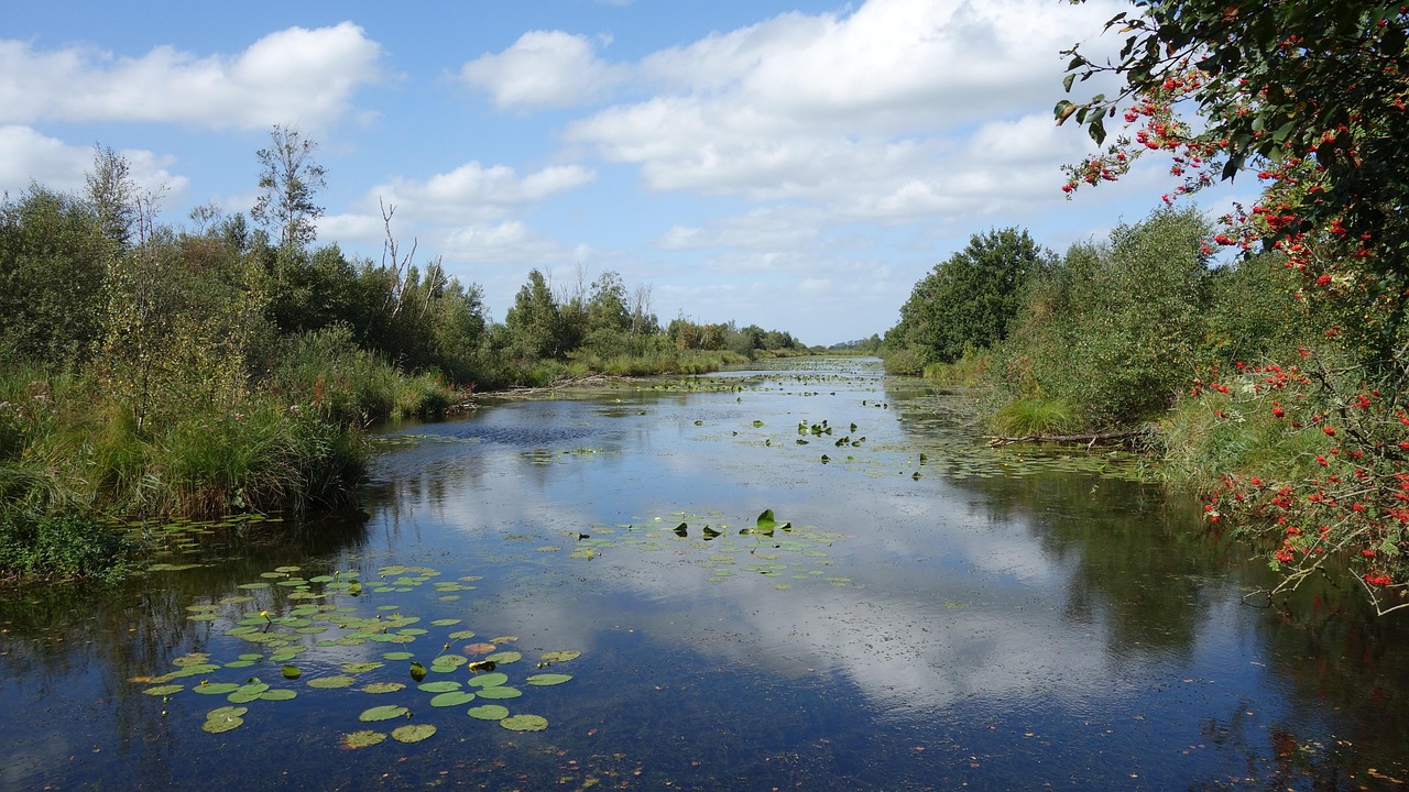 Water Nature Landscape - Free photo on Pixabay