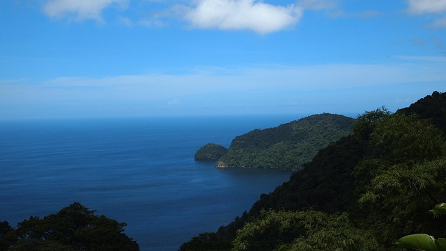 100+ Free Trinidad Tobago & Trinidad Images - Pixabay