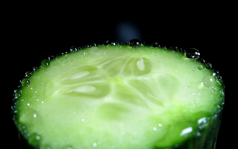Gurke Scheibe Gemüse - Kostenloses Foto auf Pixabay - Pixabay
