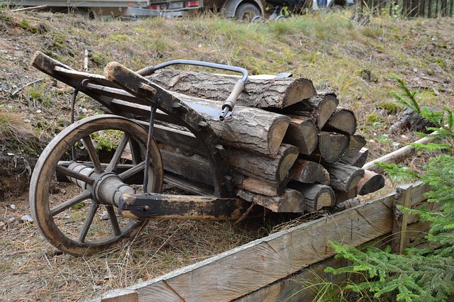 Wood History Wheelbarrow - Free photo on Pixabay - Pixabay