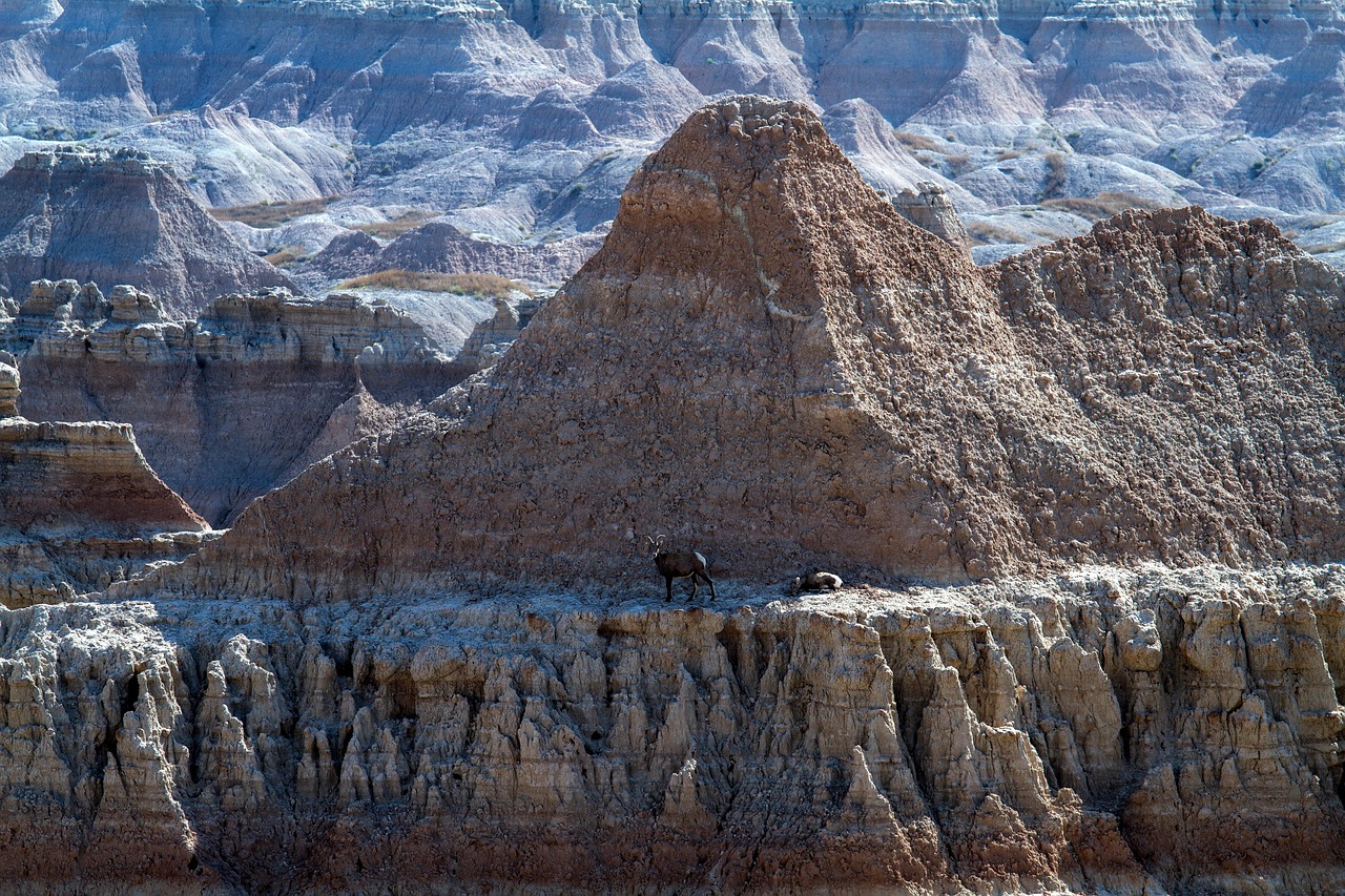 N rodn Park Badlands Ji n Dakota Fotografie Zdarma Na Pixabay Pixabay n-rodn-park-badlands-ji-n-dakota-fotografie-zdarma-na-pixabay-pixabay