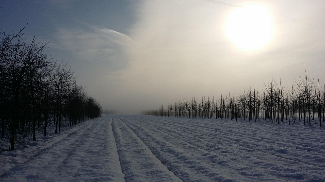 Inverno Neve Branco - Foto gratuita no Pixabay