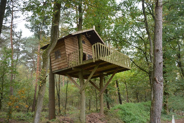 Tree House Forest Trees - Free photo on Pixabay - Pixabay