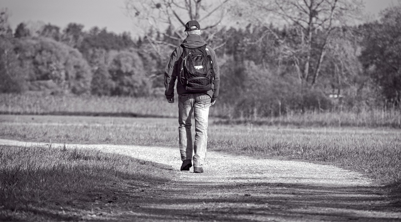 Persona Humano Individualmente - Foto gratis en Pixabay - Pixabay