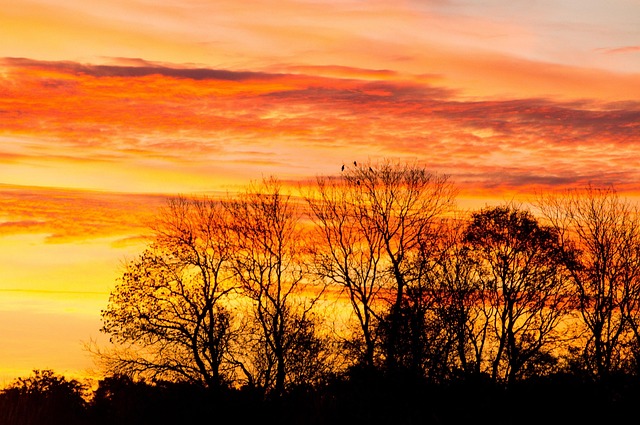 Sol Matutino Åmosen Amanecer Cielo - Foto gratis en Pixabay - Pixabay