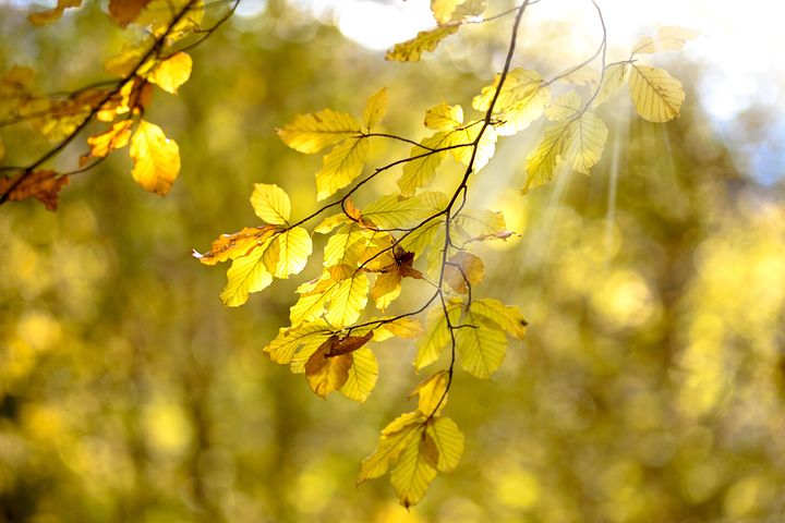 200+ Free Outside Background & Outside Images