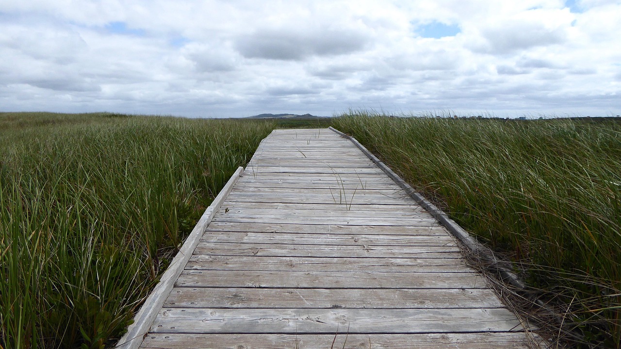 Sendero Viaje Naturaleza - Foto gratis en Pixabay - Pixabay