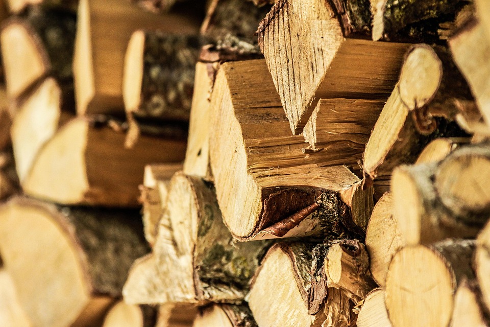 Wood Cuttings Tree - Free photo on Pixabay - Pixabay