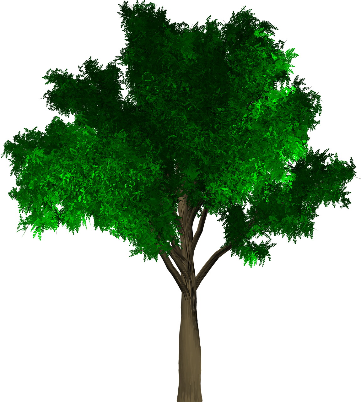 3,000+ Free Tree Growth & Tree Images - Pixabay