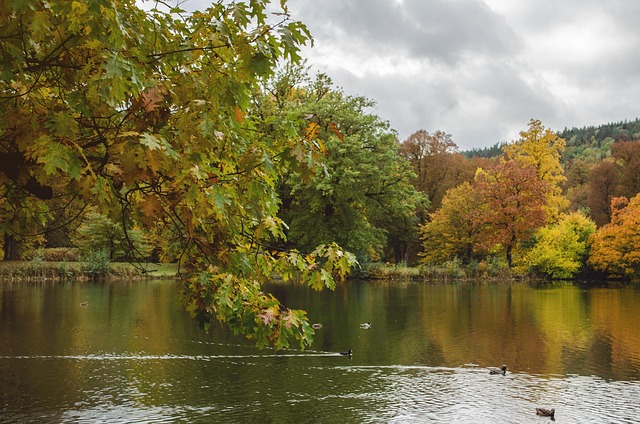 Lake Fall Park - Free photo on Pixabay