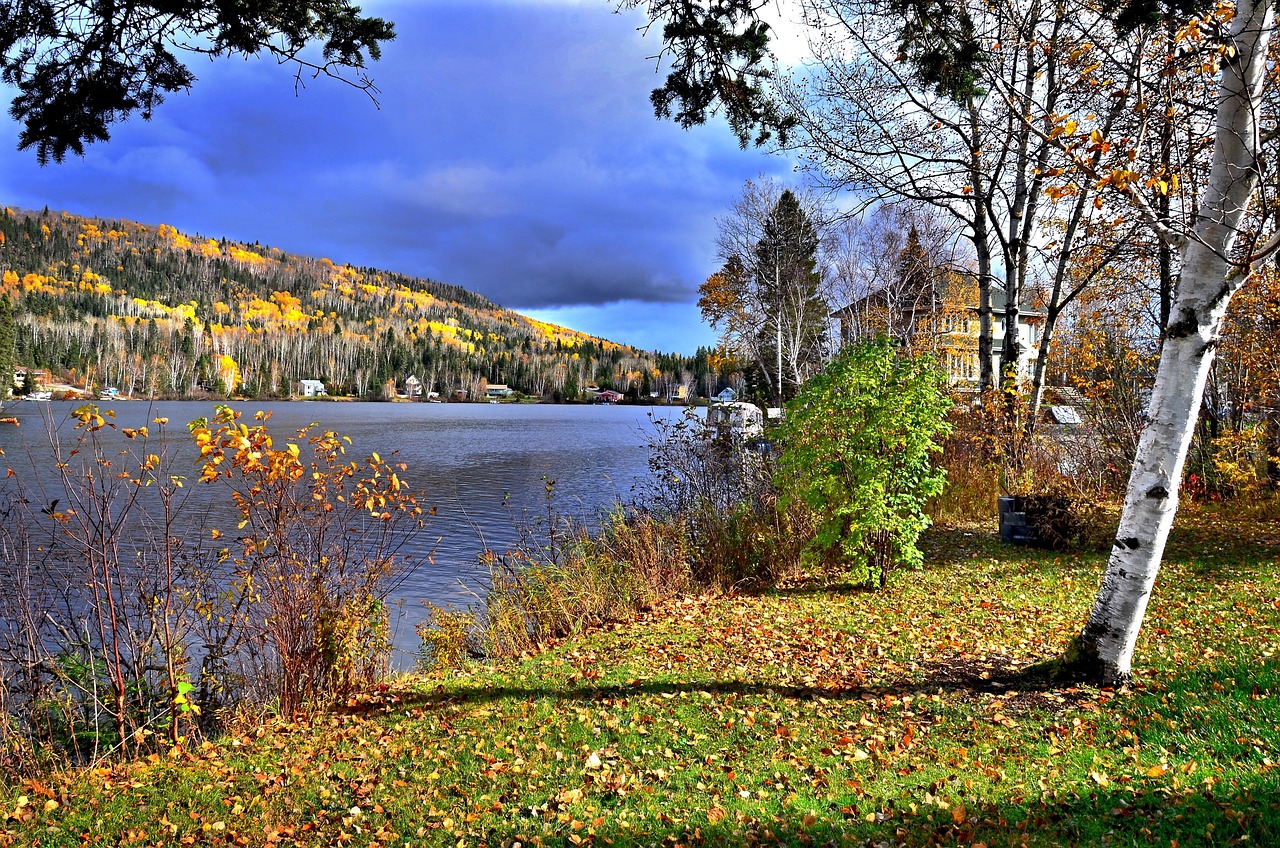 Paysage D'Automne Nature Feuilles - Photo gratuite sur Pixabay