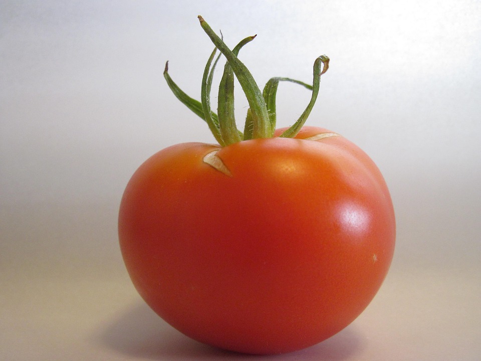 Food Tomato Vegan - Free photo on Pixabay - Pixabay