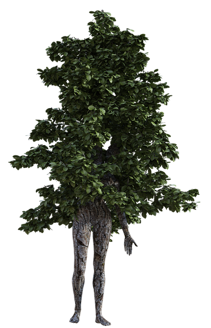Download Woman, Tree, Figure. Royalty-Free Stock Illustration Image ...