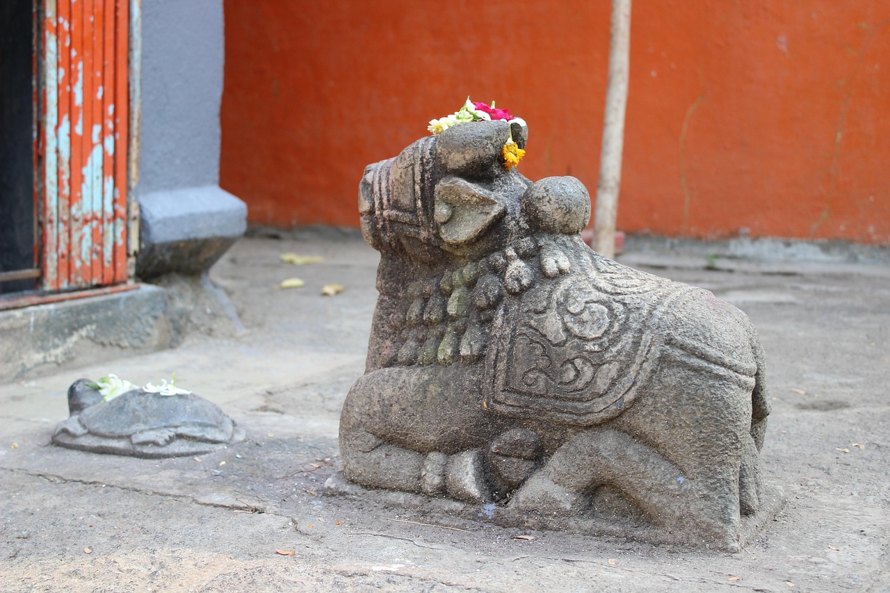 Temple Cow Nandi - Free photo on Pixabay - Pixabay