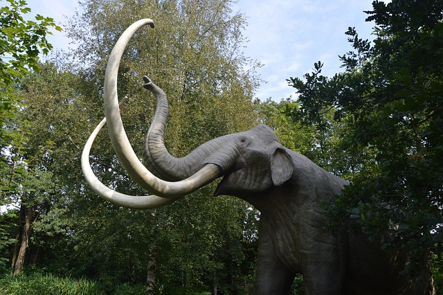 Mamut Parque De Atracciones Tolk - Foto gratis en Pixabay - Pixabay