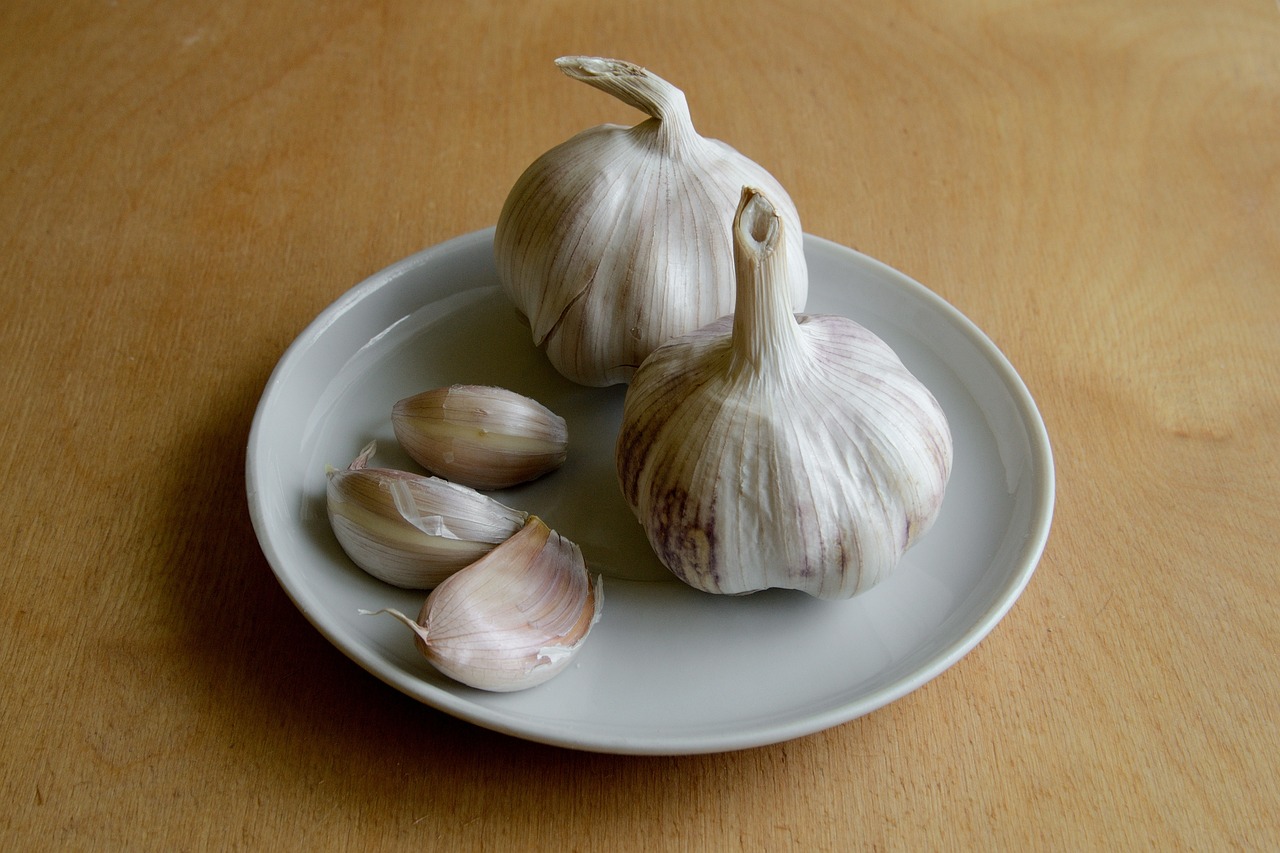 Garlic Antibiotic Flu - Free photo on Pixabay - Pixabay