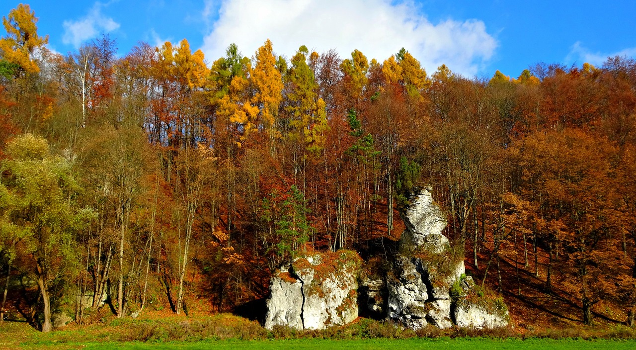 Ojcowski Park Narodowy Polska - Darmowe zdjęcie na Pixabay
