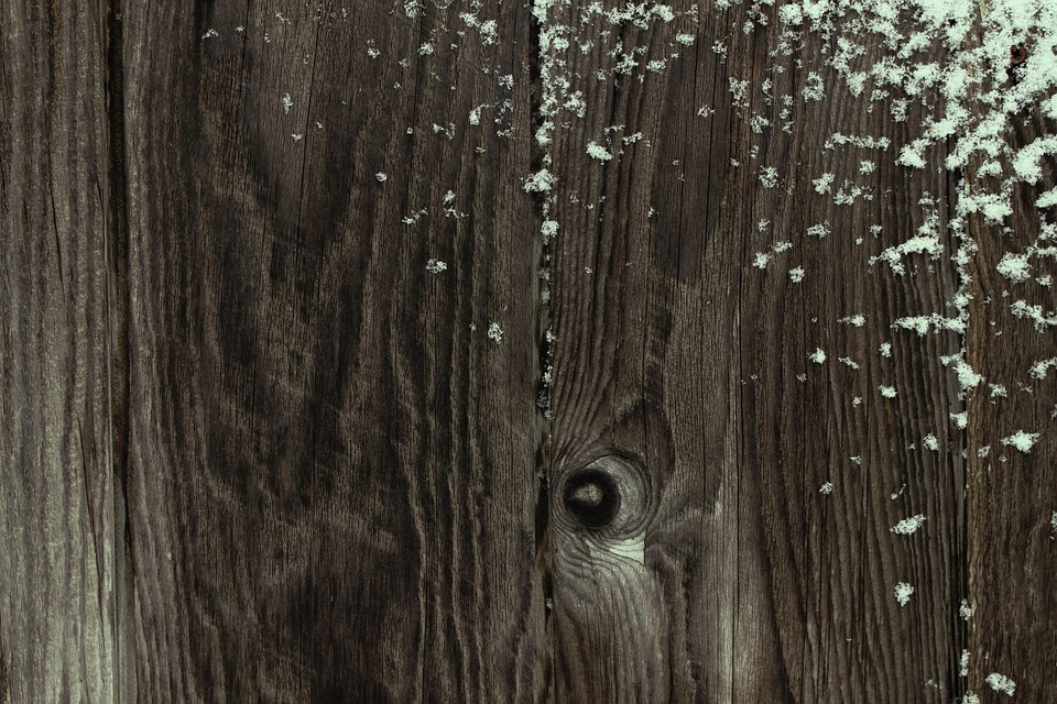 Wood Winter Cold - Free photo on Pixabay - Pixabay