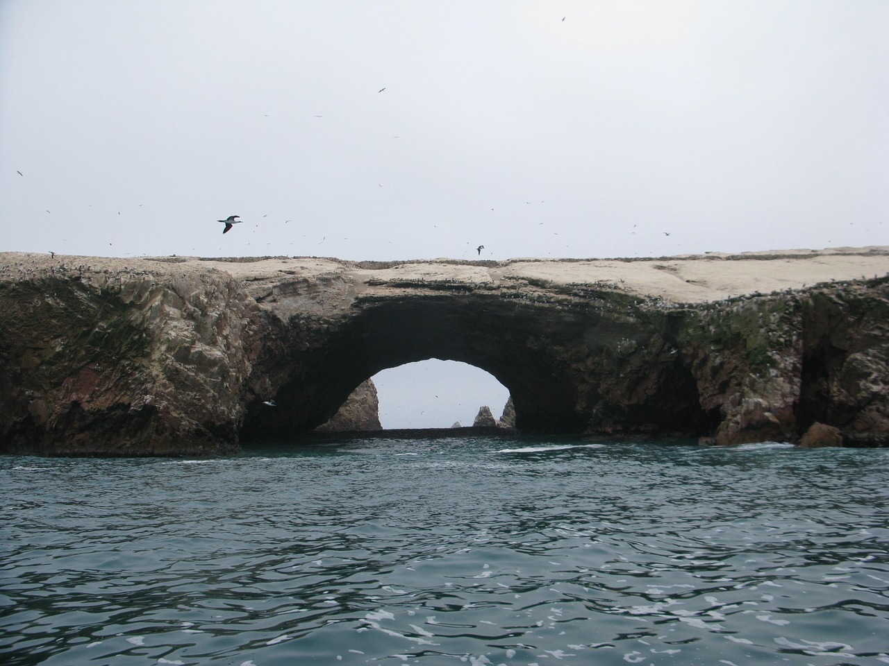 Paracas Pisco Peru Región - Foto gratis en Pixabay - Pixabay