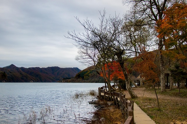 Landscape Nami Island Korea - Free photo on Pixabay - Pixabay