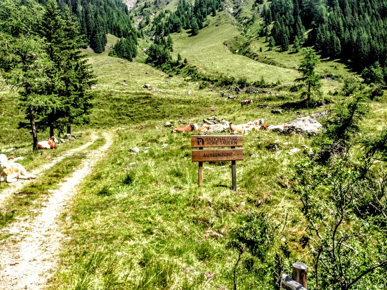 Tirol Oriental Debatible - Foto gratis en Pixabay - Pixabay