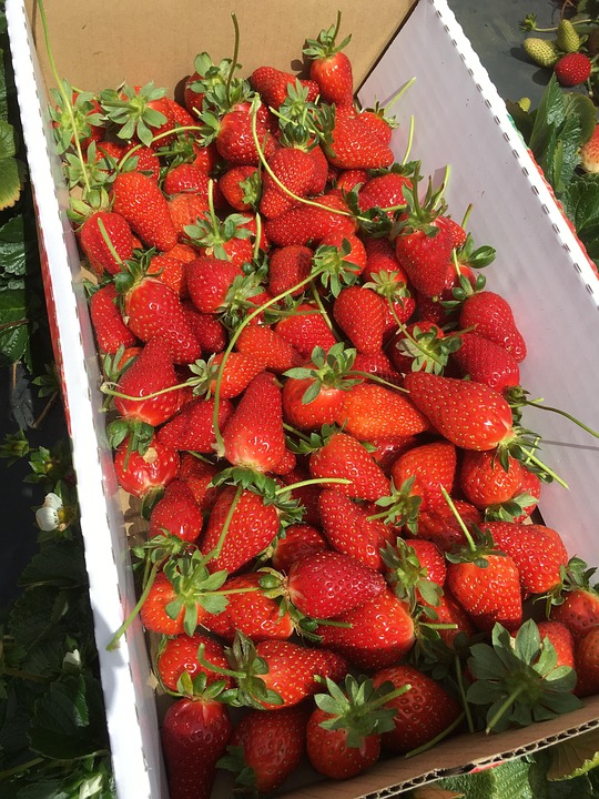 Box Of Strawberry - Free photo on Pixabay