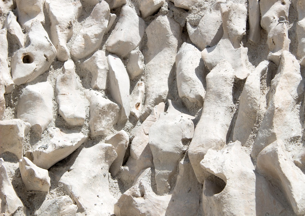 Cement Wall Border - Free photo on Pixabay - Pixabay